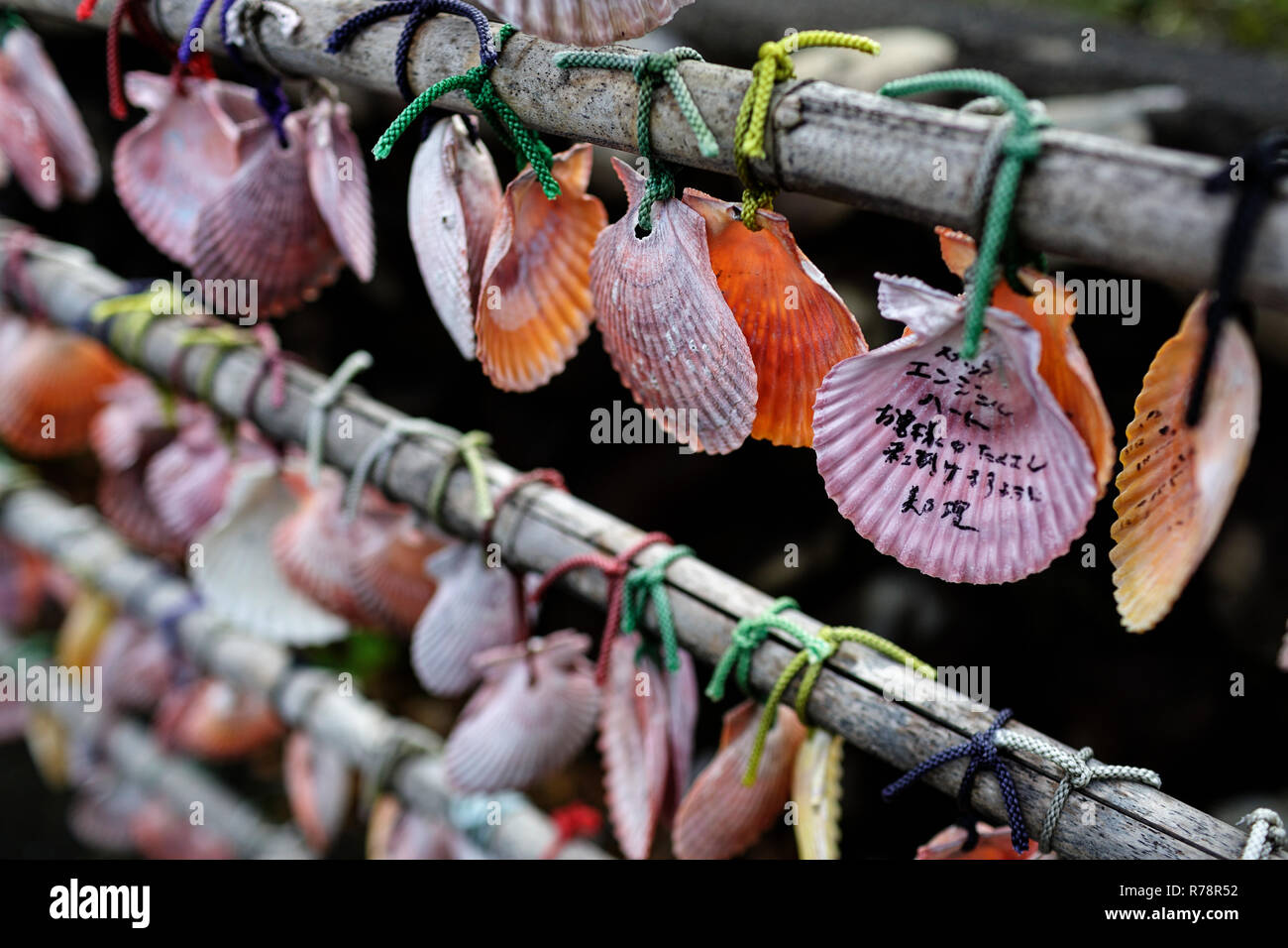 Wishes written on shells, JApan Stock Photo - Alamy
