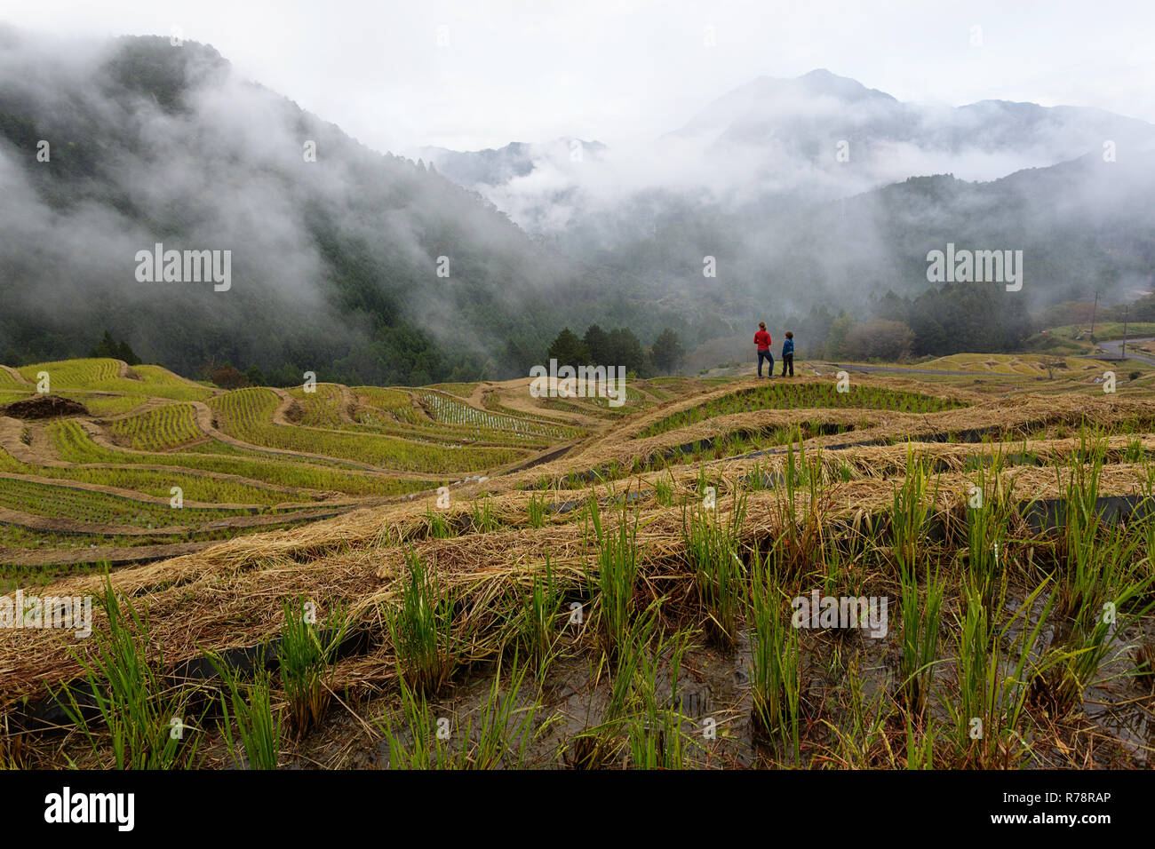 Mother and son walking at Maruyama Senmaida rice terraces in central ...
