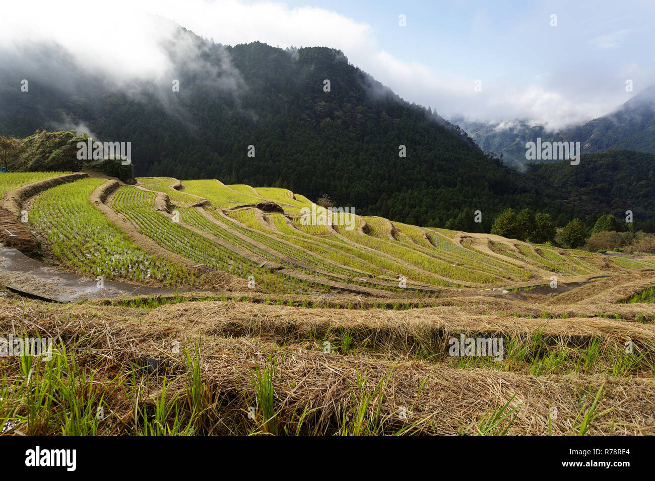 Maruyama Senmaida rice terraces in central Japan, Maruyama-senmaida ...
