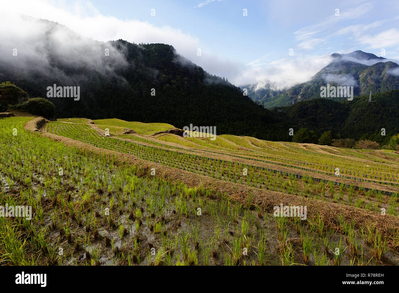 Maruyama Senmaida rice terraces in central Japan, Maruyama-senmaida ...