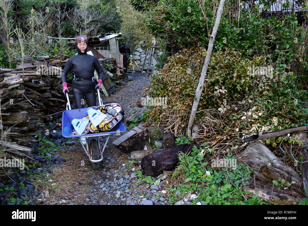 Ama diver walking on a tiny footpath in wetsuit, returning from diving ...