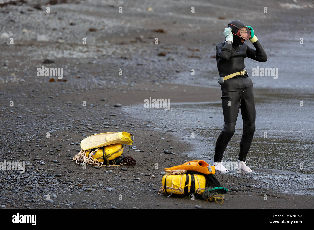 Ama diver hi-res stock photography and images - Alamy