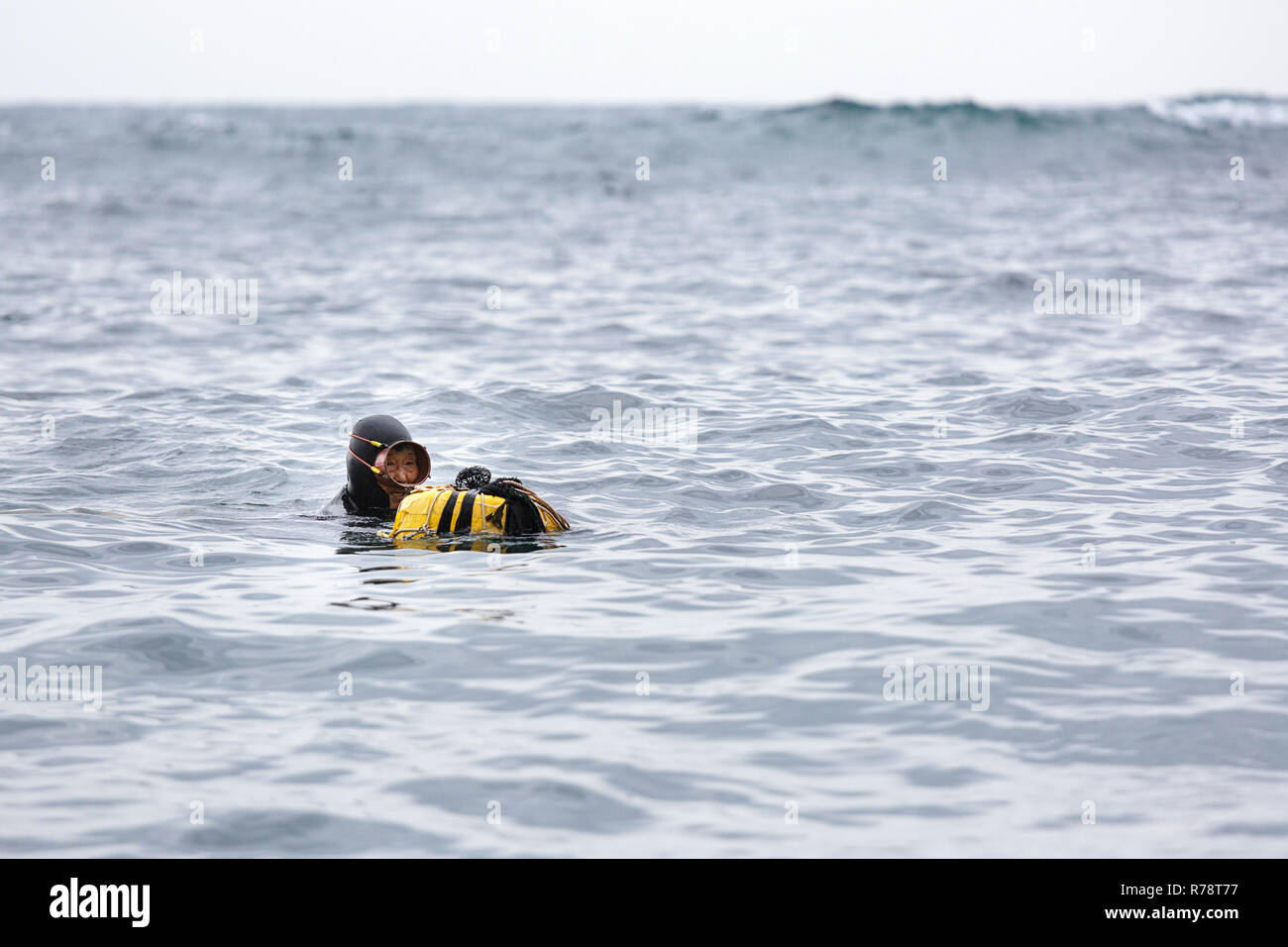Ama diver hi-res stock photography and images - Alamy