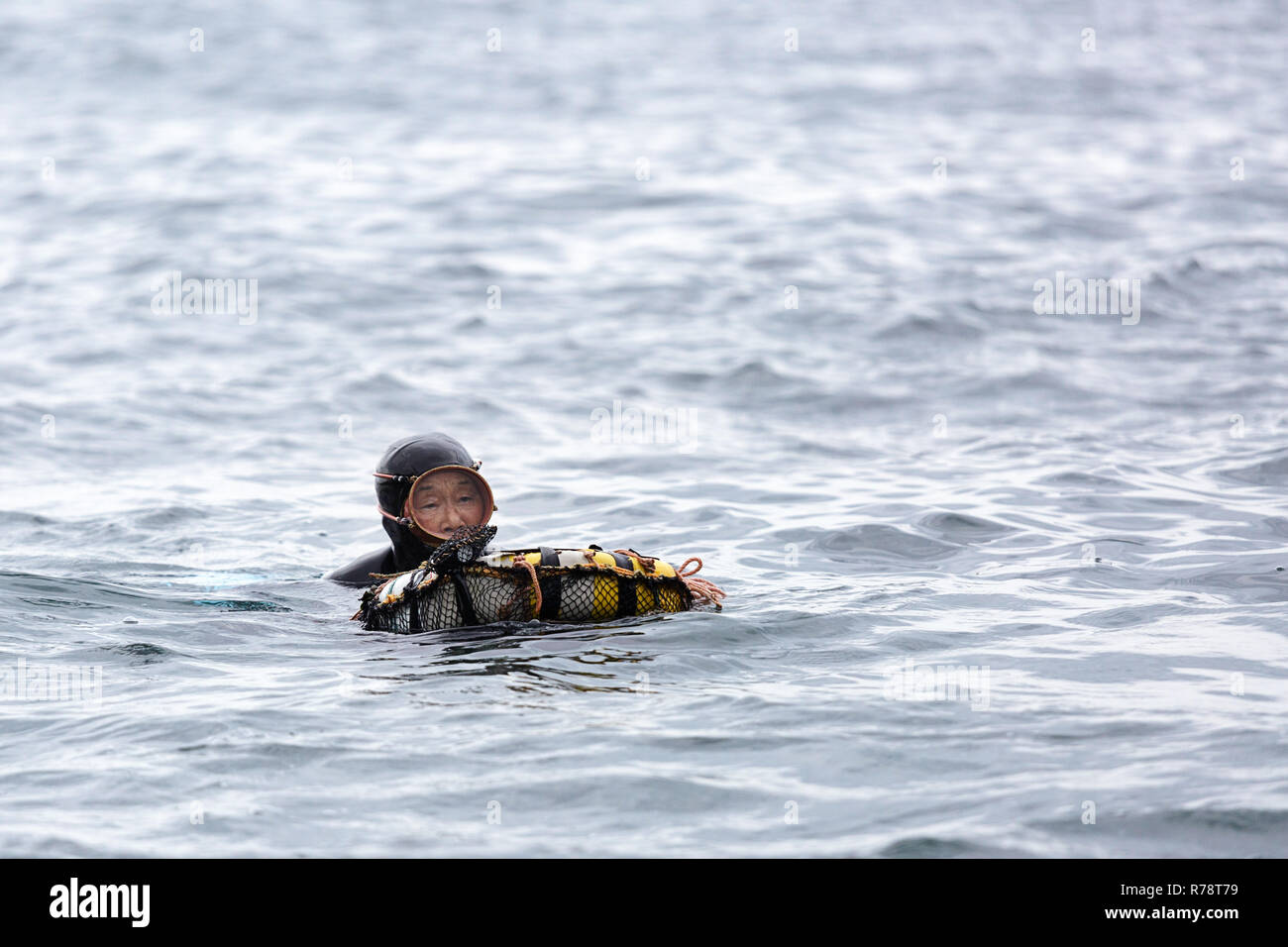 Ama diver swimming and diving in the ocean, carrying her float and ...