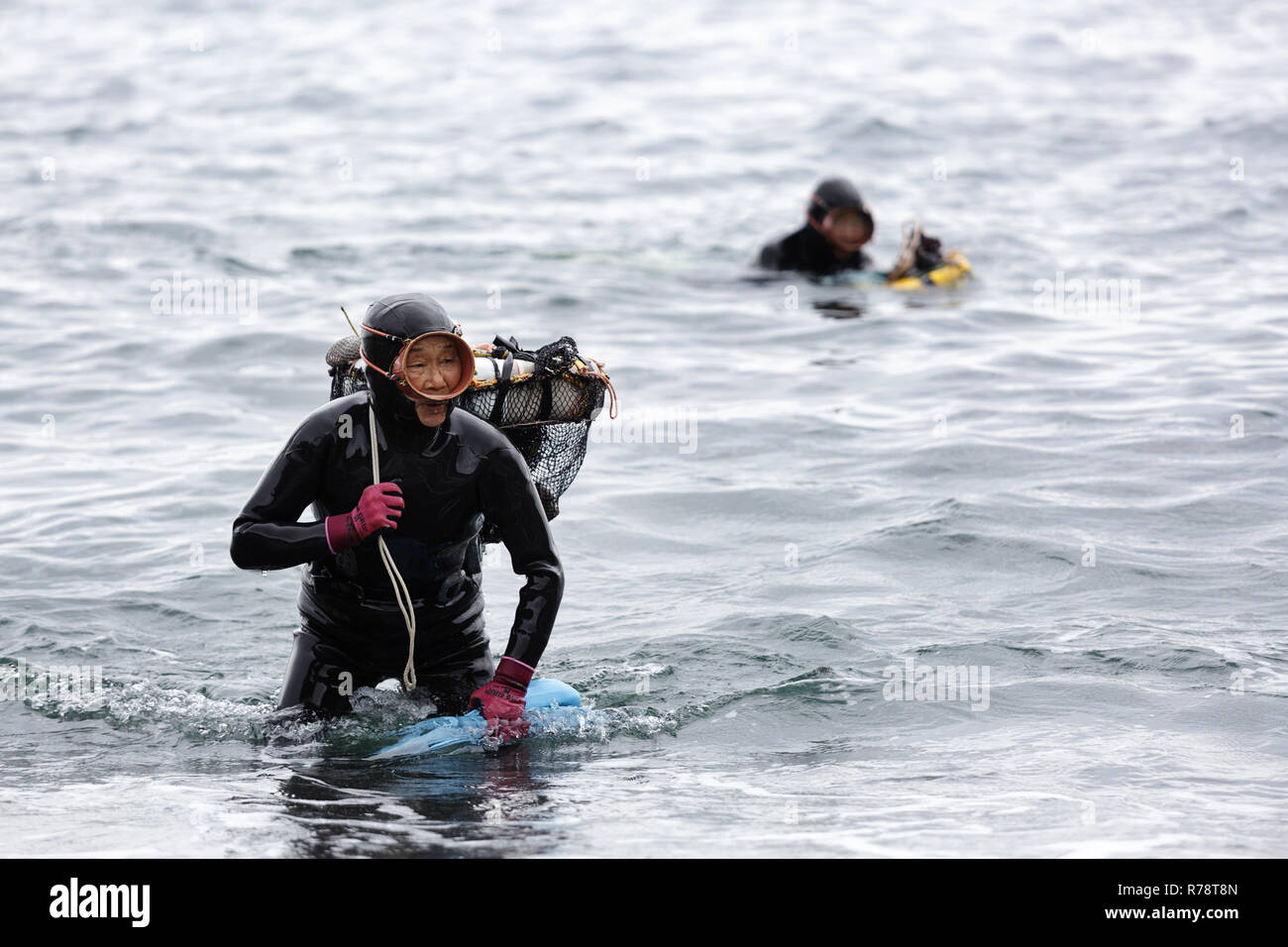 Ama divers returning from ocean, carrying their daily catch on their ...