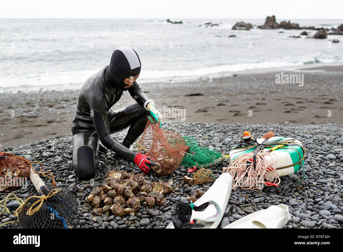 Ama diver checking her daily catch on a pebble beach, ocean and rocks ...