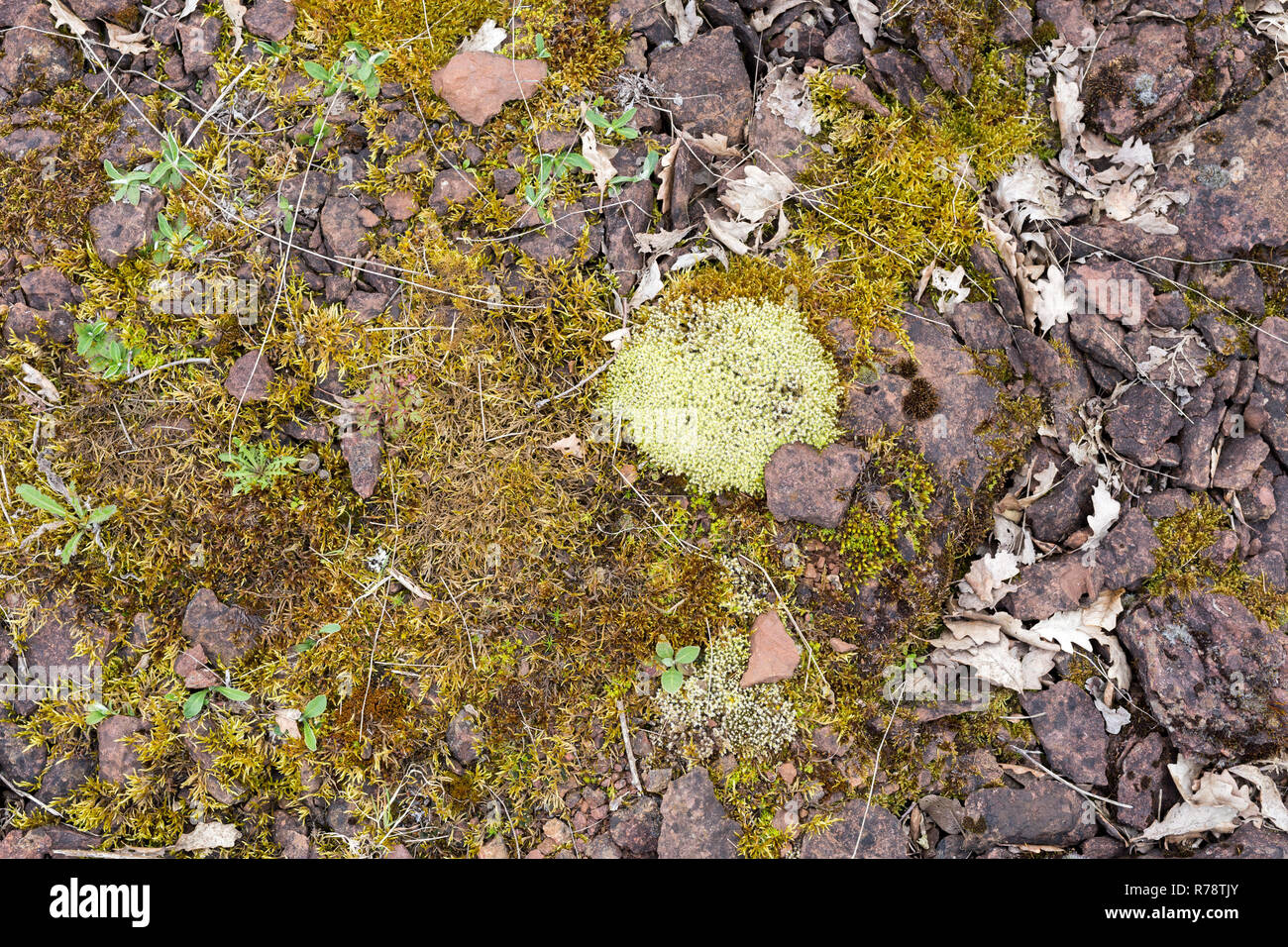 Grass erea hi-res stock photography and images - Alamy