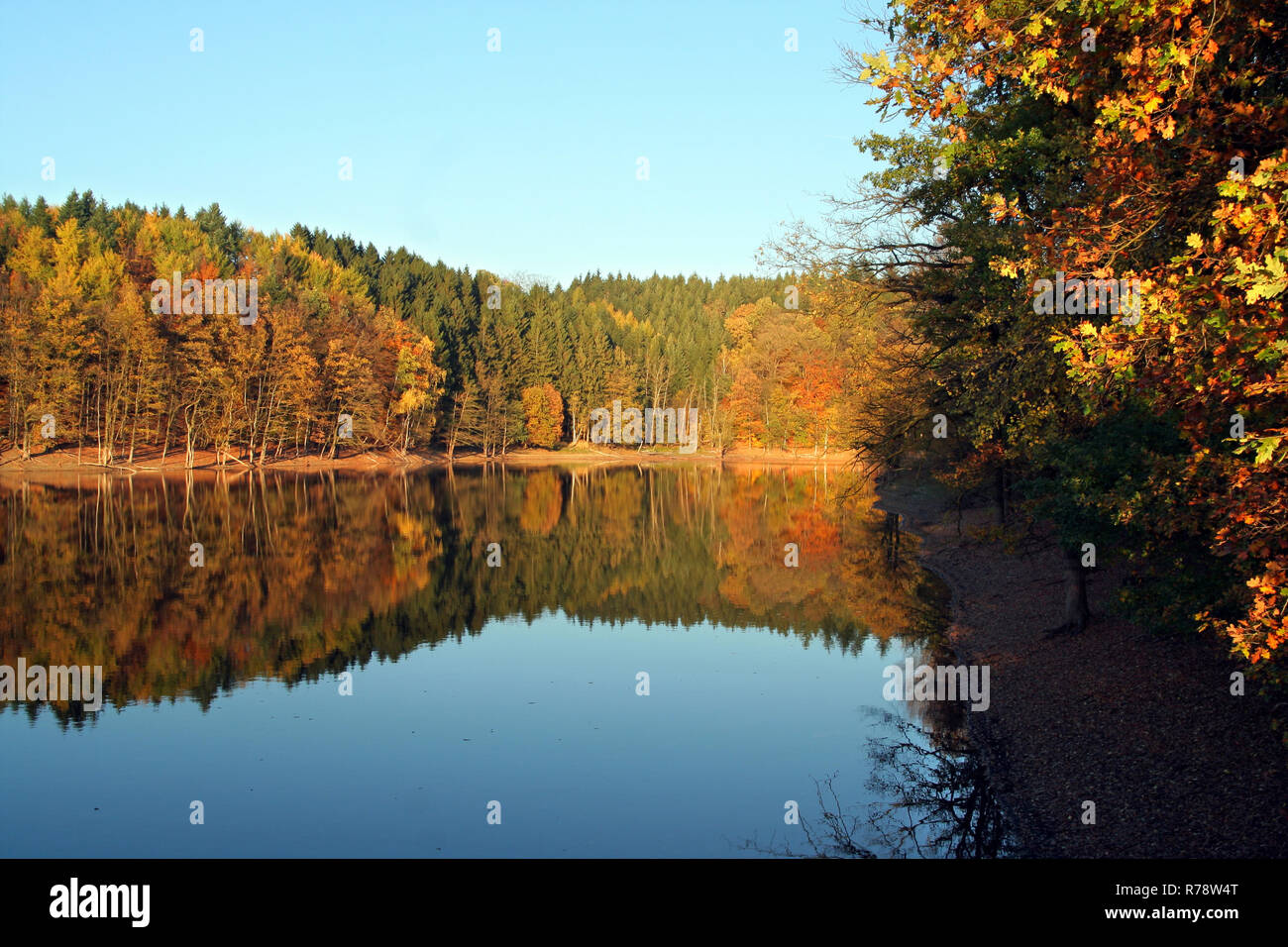 Bever Dam High Resolution Stock Photography and Images - Alamy