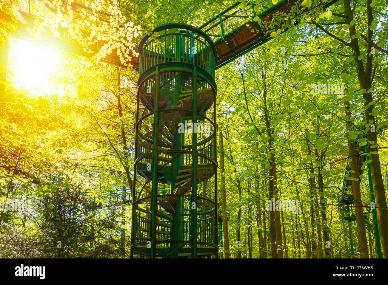 Adventure park treetop hi-res stock photography and images - Alamy