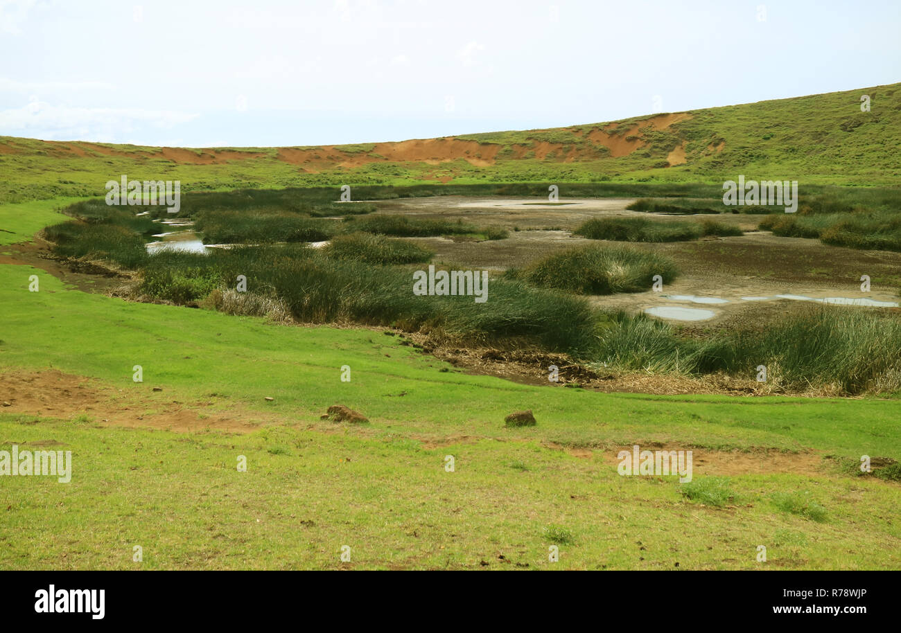 Freshwater crater lake with Totora reeds at the mountaintop of Rano ...