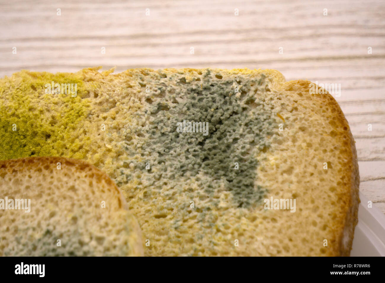 Moldy bread, expired can not eat any more. isolated on white background ...