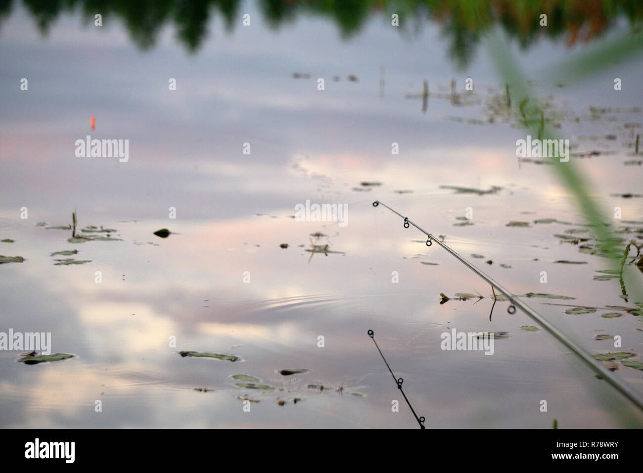fishing float on the water reflection relax ripple Stock Photo - Alamy