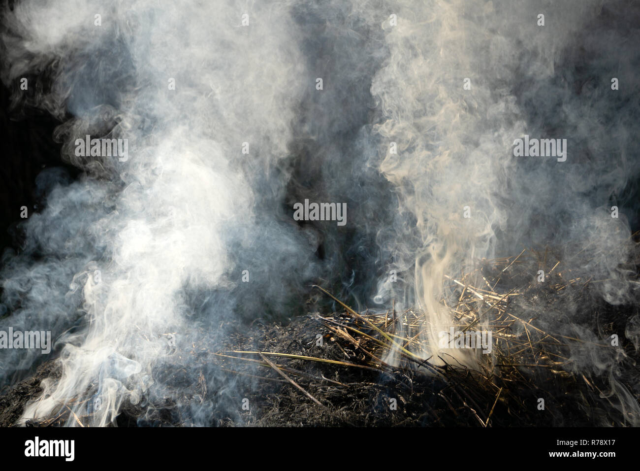Close up fire burning stack of rice straw almost complete Stock Photo ...