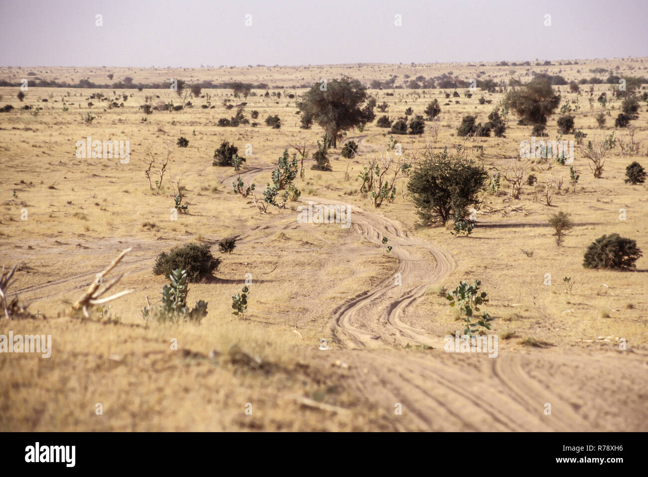 Sahel Landscape Sahel Landscape