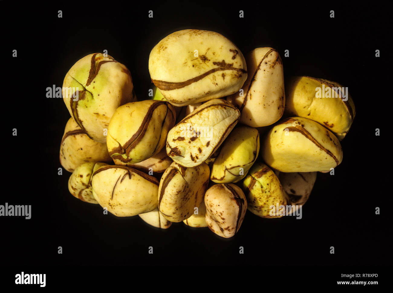 Niamey, Niger. Kola Nuts Stock Photo - Alamy