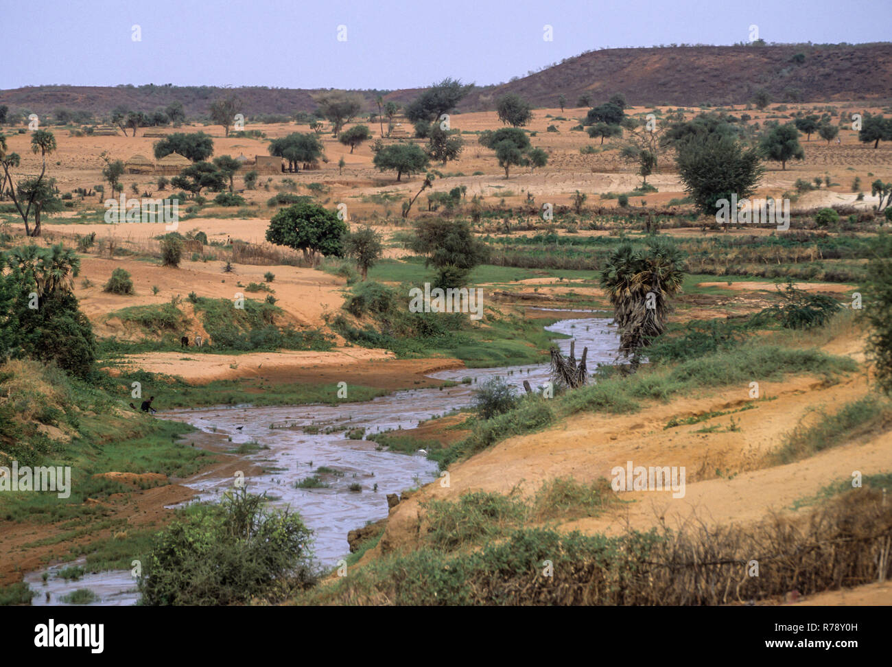 Sahel Landscape