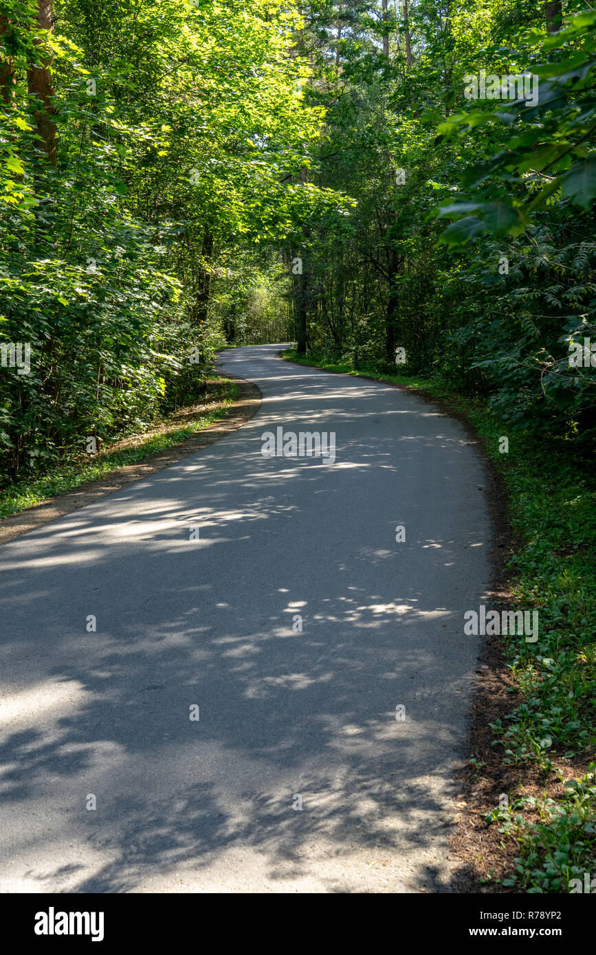 asphalt wavy road in forest in summer with bright shadows Stock Photo ...