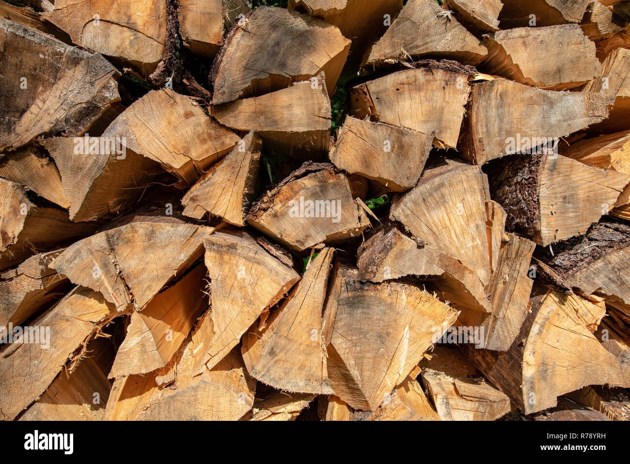 old dry tree trunk stomp texture with bark in nature Stock Photo - Alamy