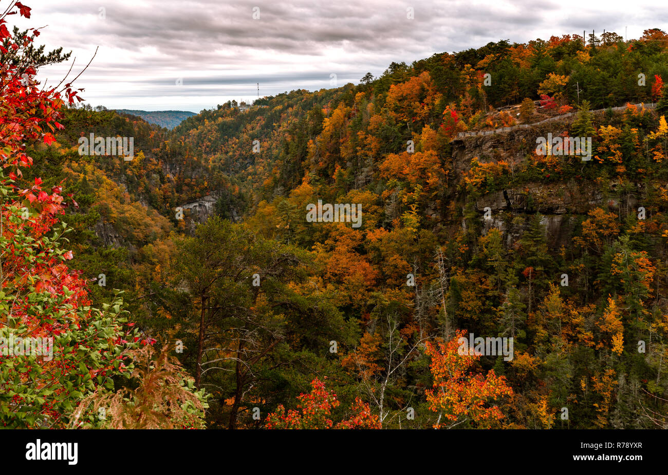 Fall Colors landscape Stock Photo - Alamy
