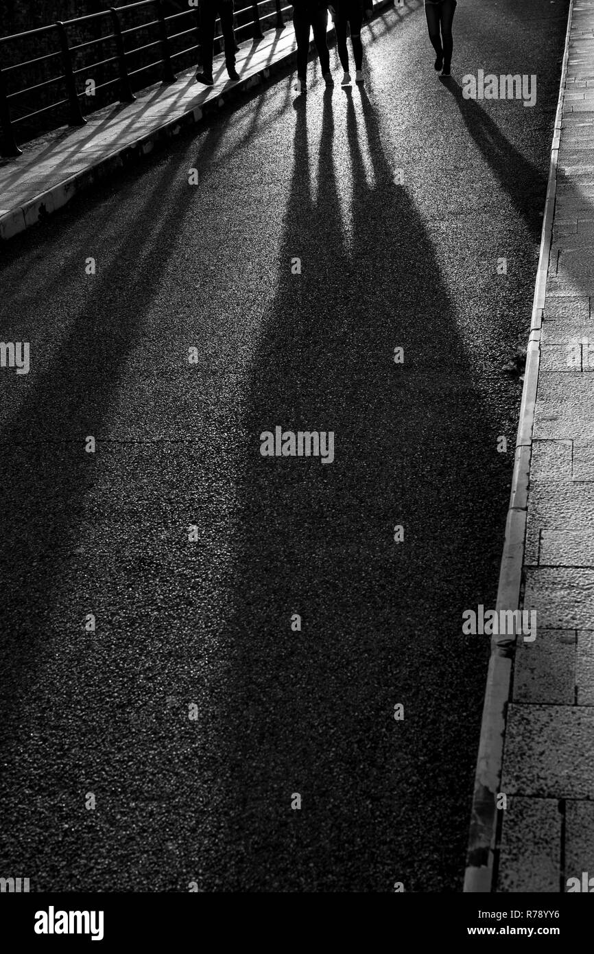 Long evening shadows of four young persons, friends, walking towards ...