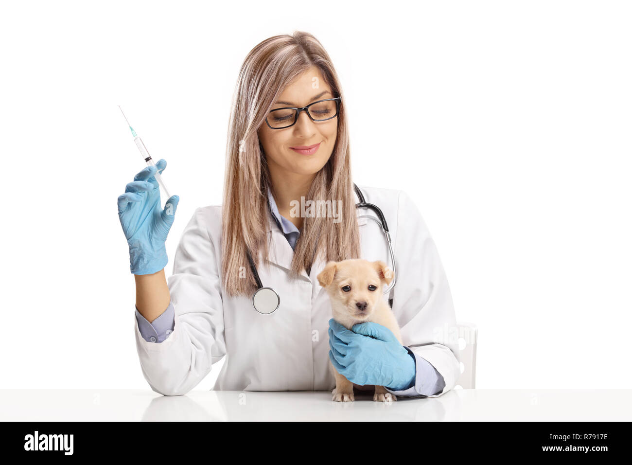 Female veterinarian holding an injection for a little puppy isolated on ...