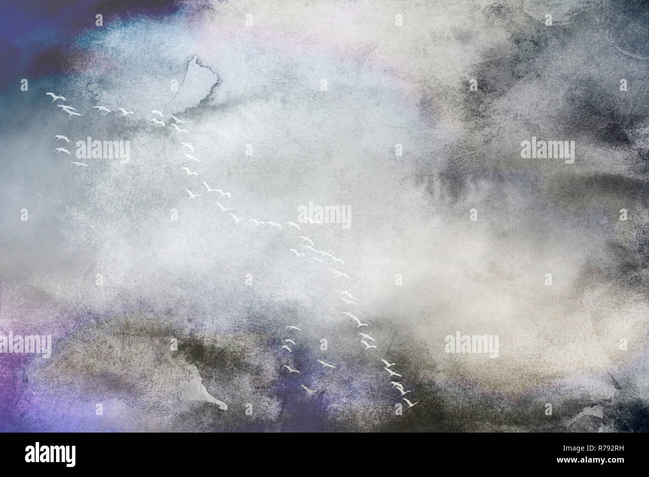 pulling birds texture concept Stock Photo - Alamy