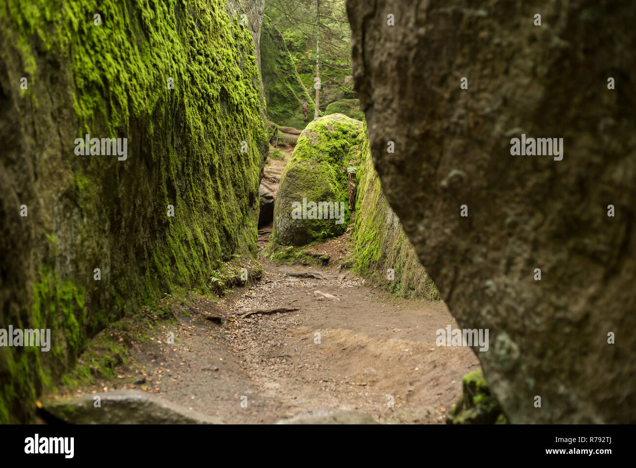 Luisenburg rock labyrinth hi-res stock photography and images - Alamy
