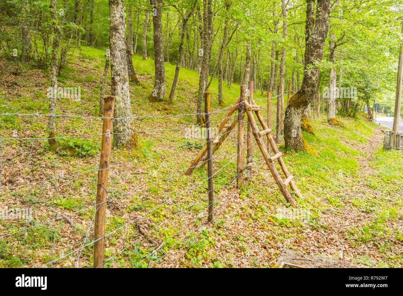 Double wooden ladder serving as a passage over a fence surrounding the ...