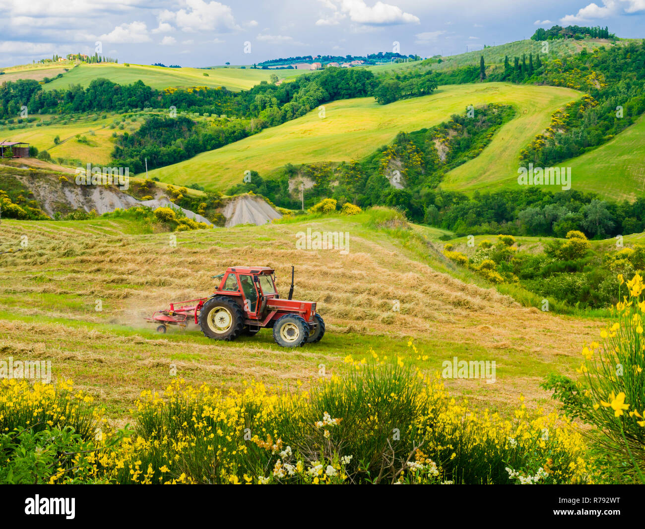 Farmer harvesting hay hi-res stock photography and images - Alamy