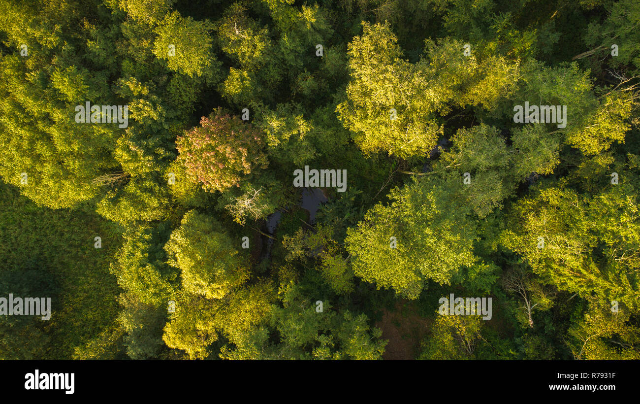 Drone view beaver dam hi-res stock photography and images - Alamy