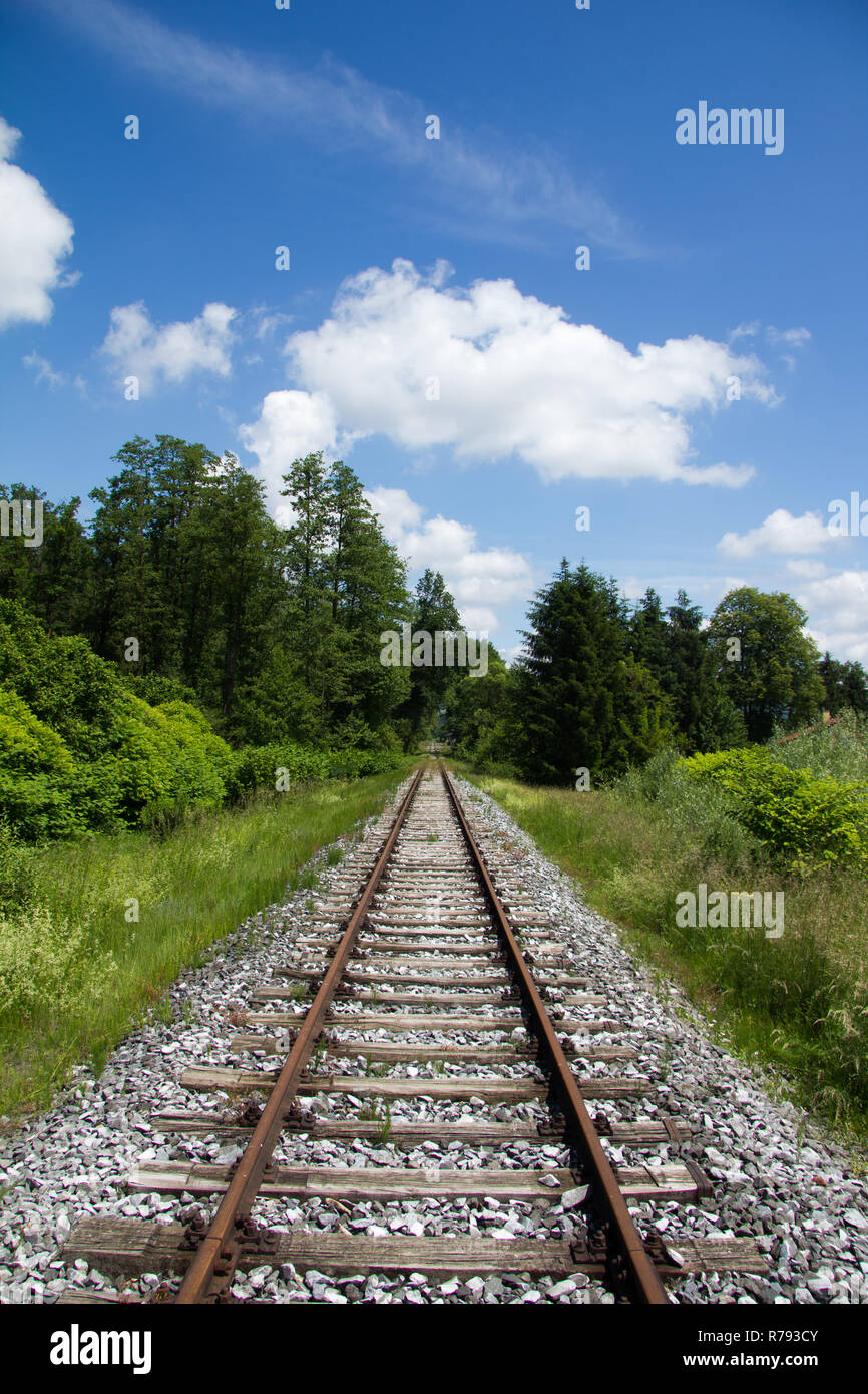 Train tracks woods hi-res stock photography and images - Alamy