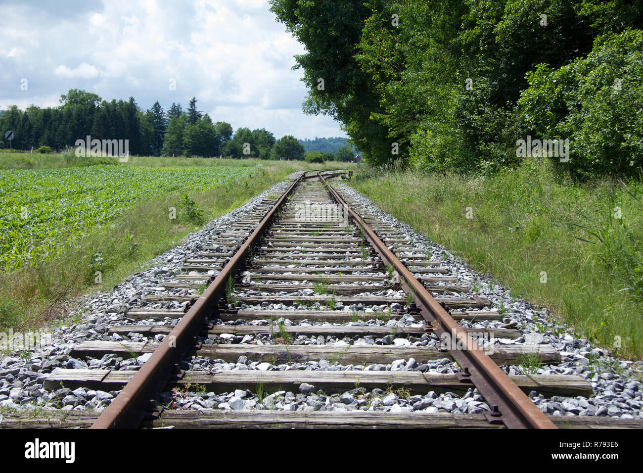 railroad tracks lead through grass landscape and forest landscape in ...
