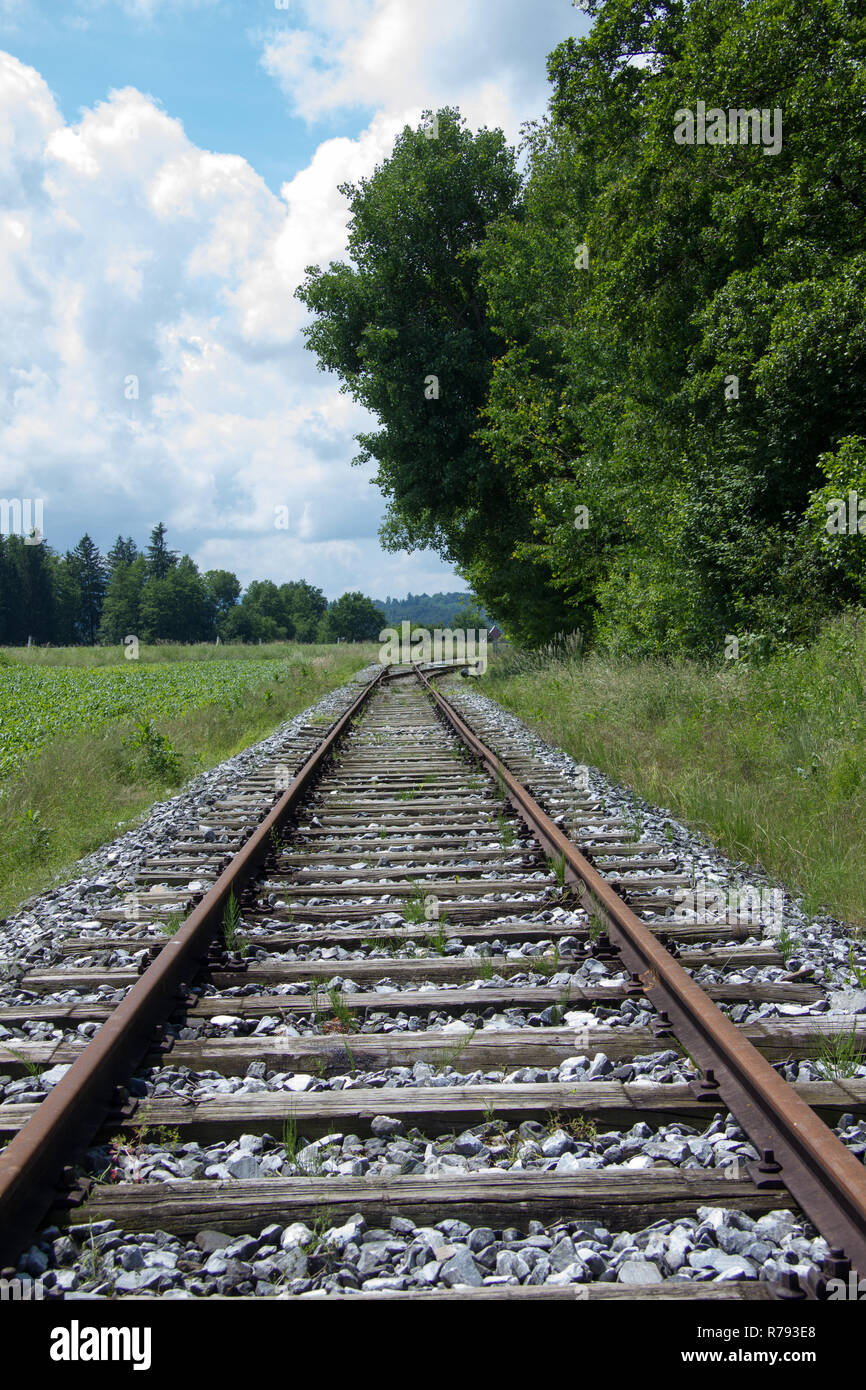 railroad tracks lead through grass landscape and forest landscape in ...