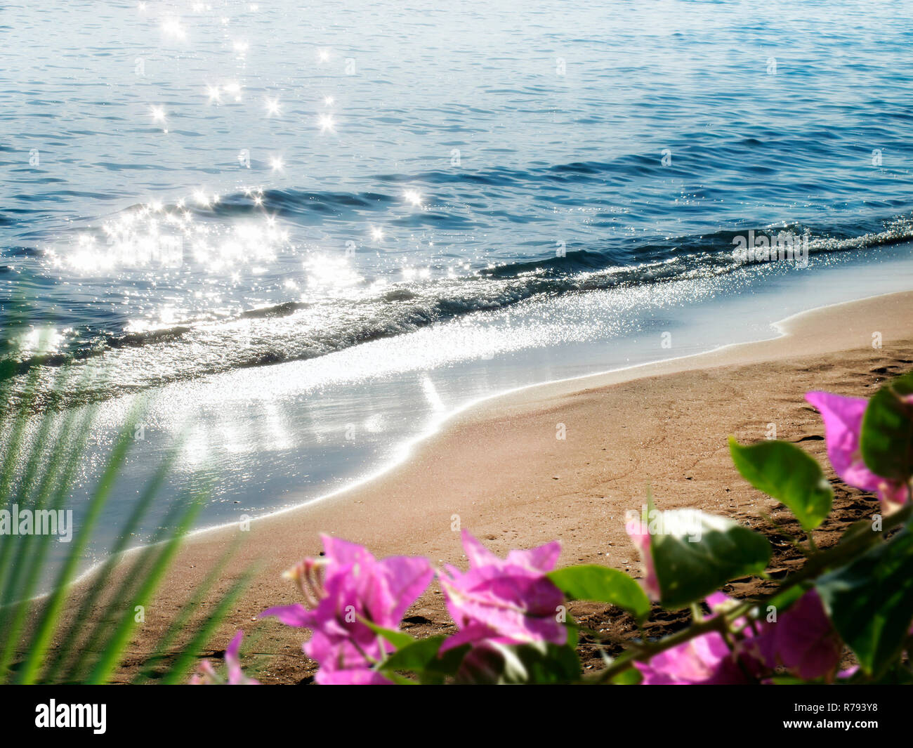 sunny spring day at beach Stock Photo - Alamy