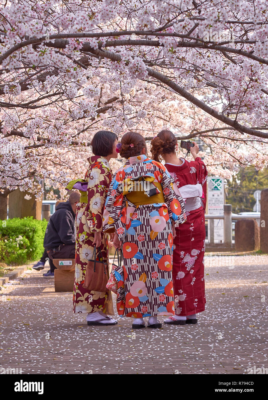 Three Japanese ladies viewed from behind dress up in flower motif ...