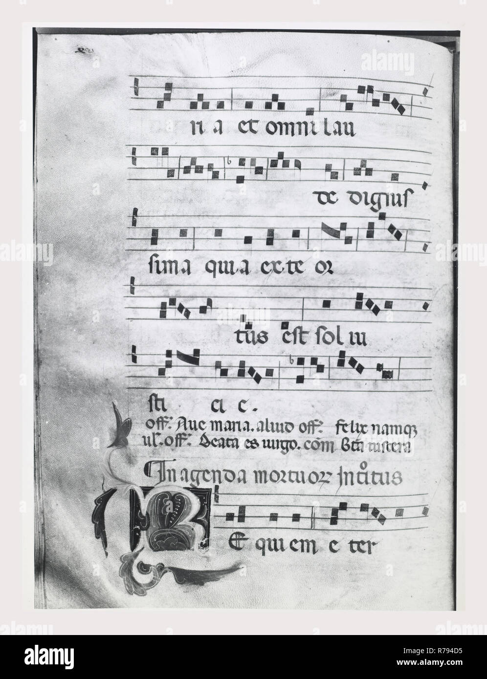 Emilia-Romagna Ferrara Pieve di Cento Pinacoteca Civica, this is my ...