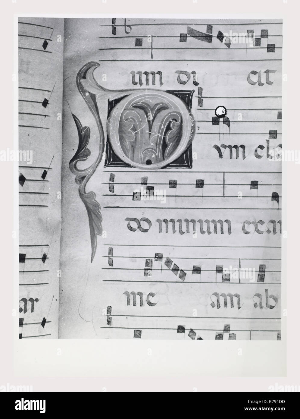 Emilia-Romagna Ferrara Pieve di Cento Pinacoteca Civica, this is my ...