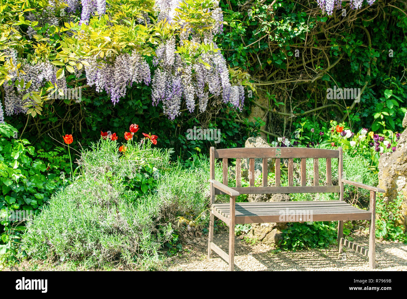 bench surrounded by spring flowers Stock Photo - Alamy