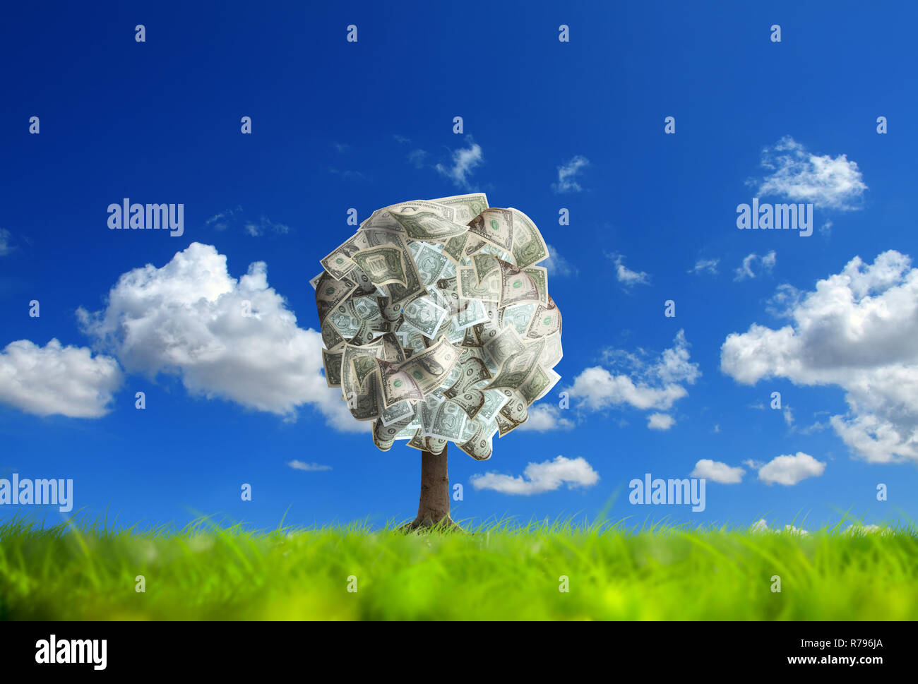 Green enviroment money hi-res stock photography and images - Alamy