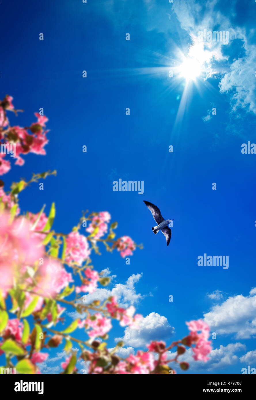 sunny spring day at beach Stock Photo - Alamy