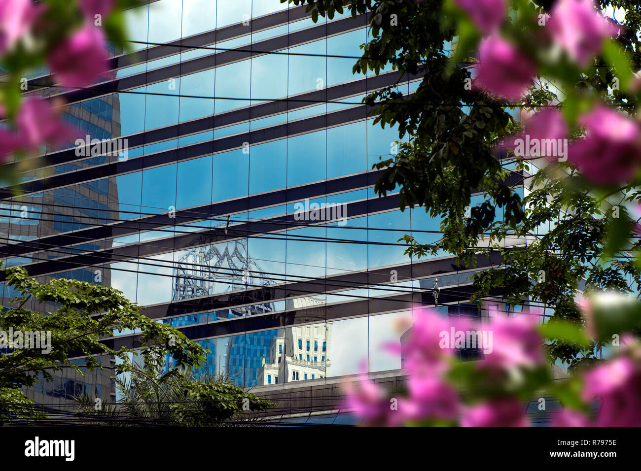 Modern architecture building exterior Stock Photo - Alamy