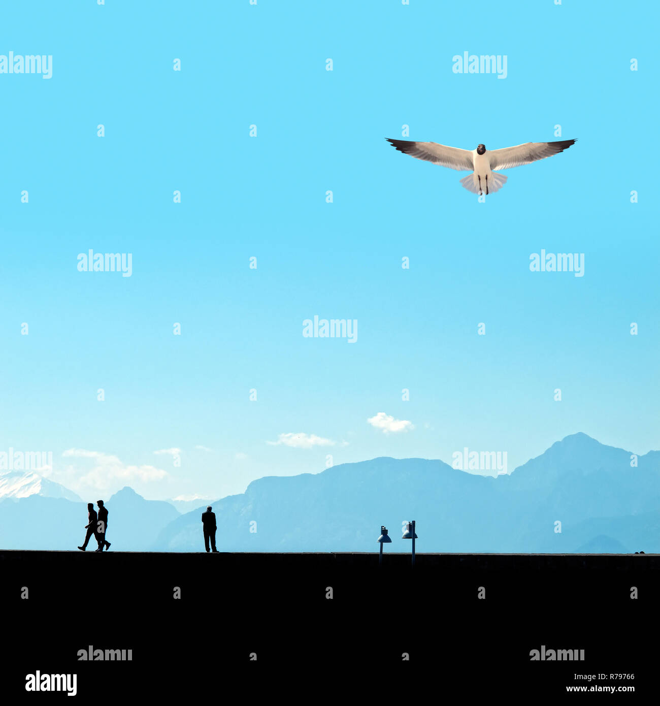 Silhouetted people walking on street over blue sky Stock Photo - Alamy