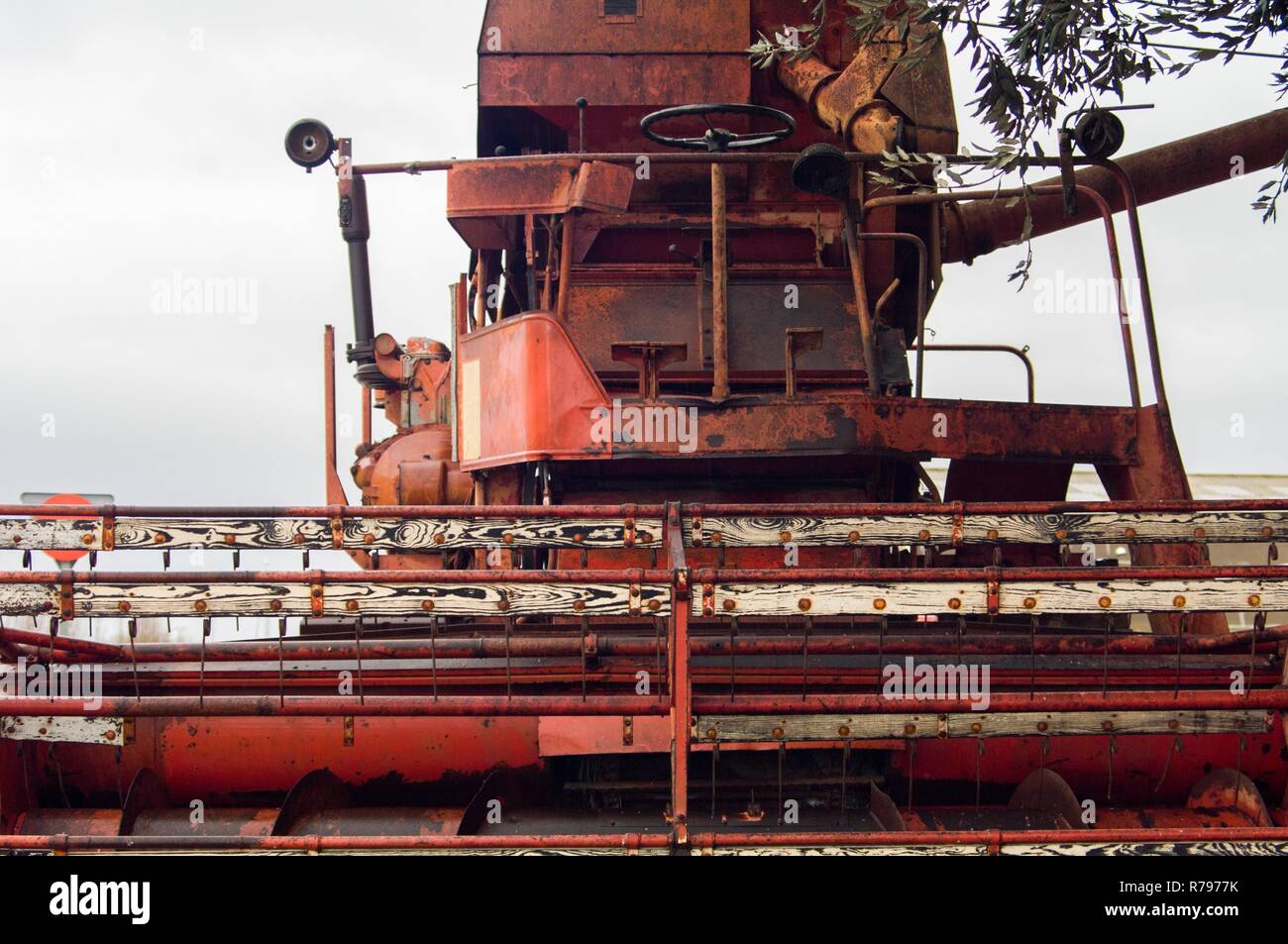 Machine picking olive hi-res stock photography and images - Alamy