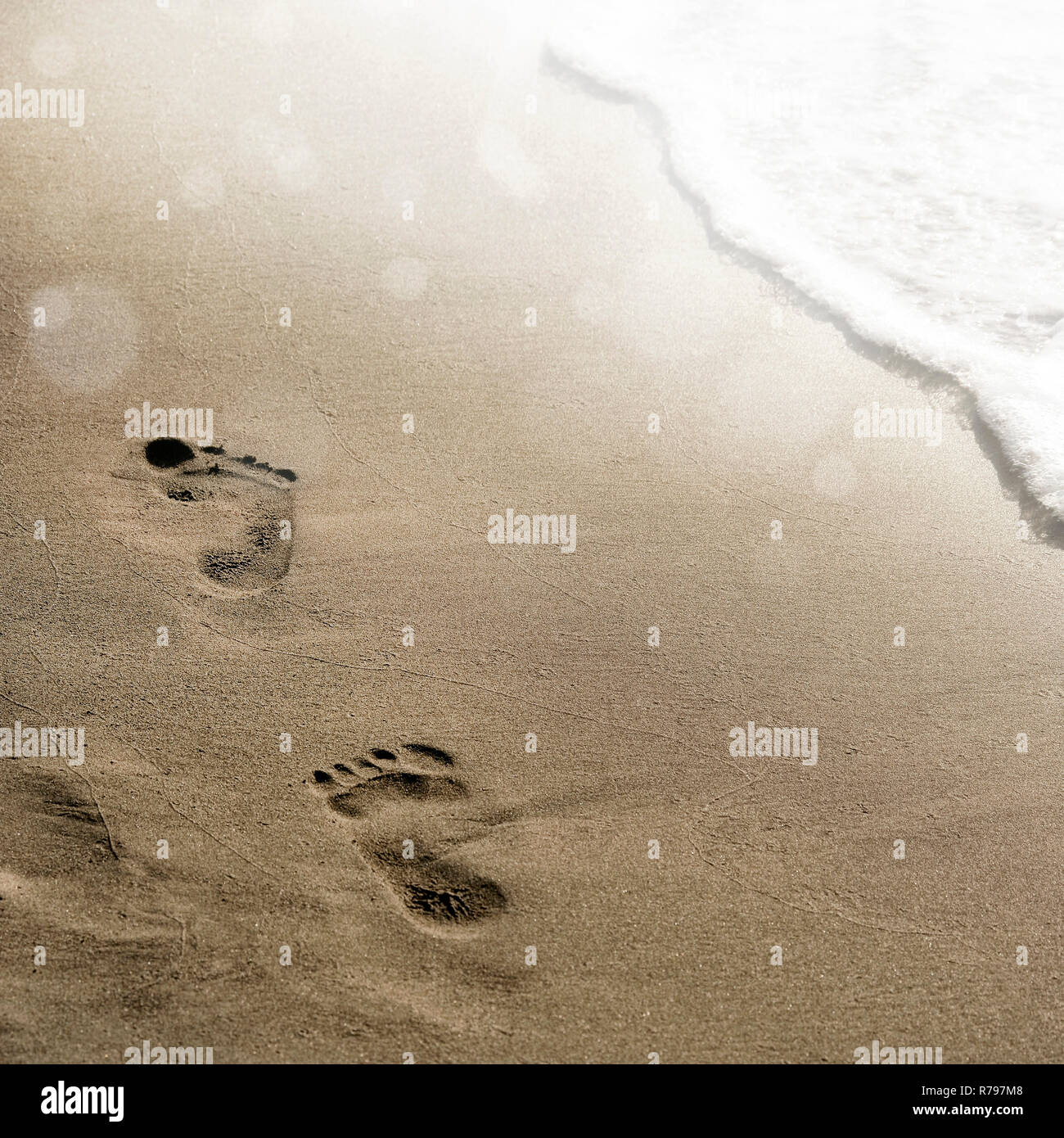 summer vacation walk on beach Stock Photo - Alamy