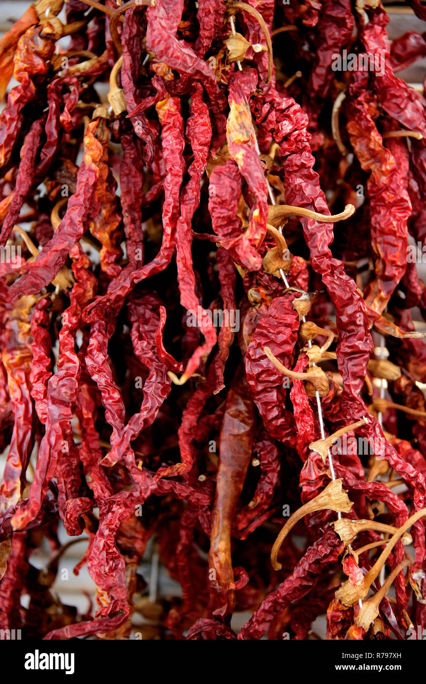 dried red peppers Stock Photo - Alamy