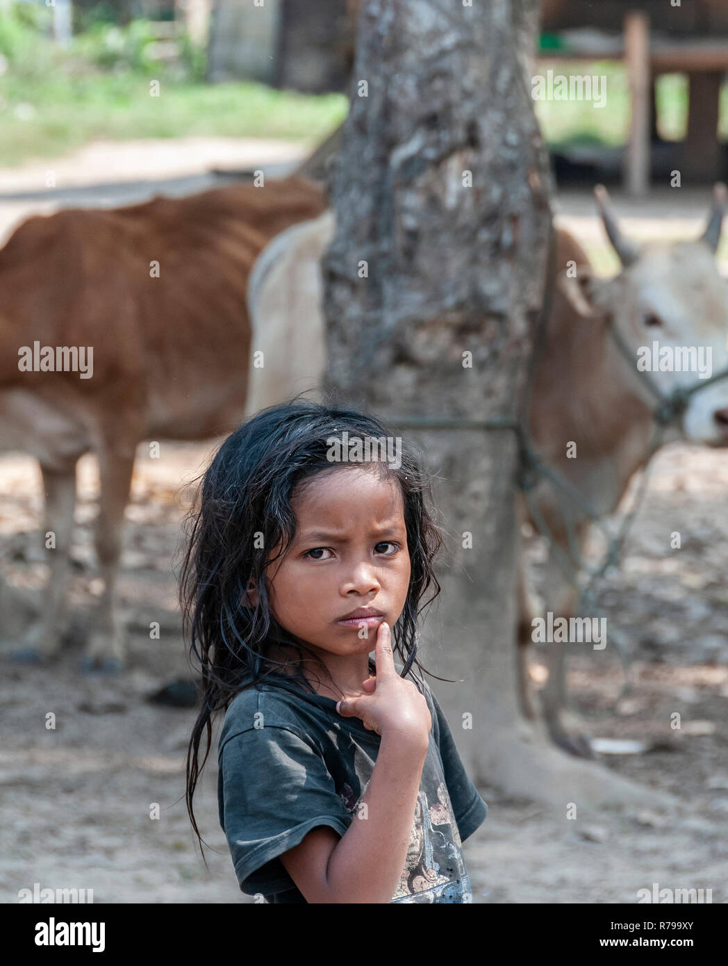 Lao child girl hi-res stock photography and images - Alamy