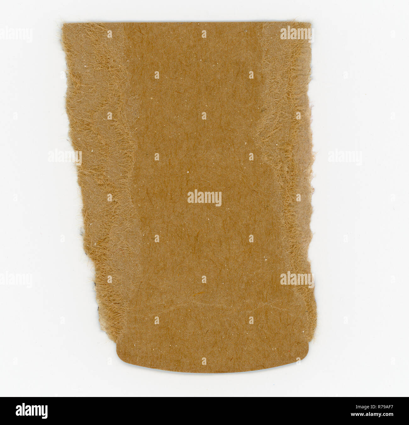 micrograph view of brown cardboard, with fibres of cellulose pulp ...