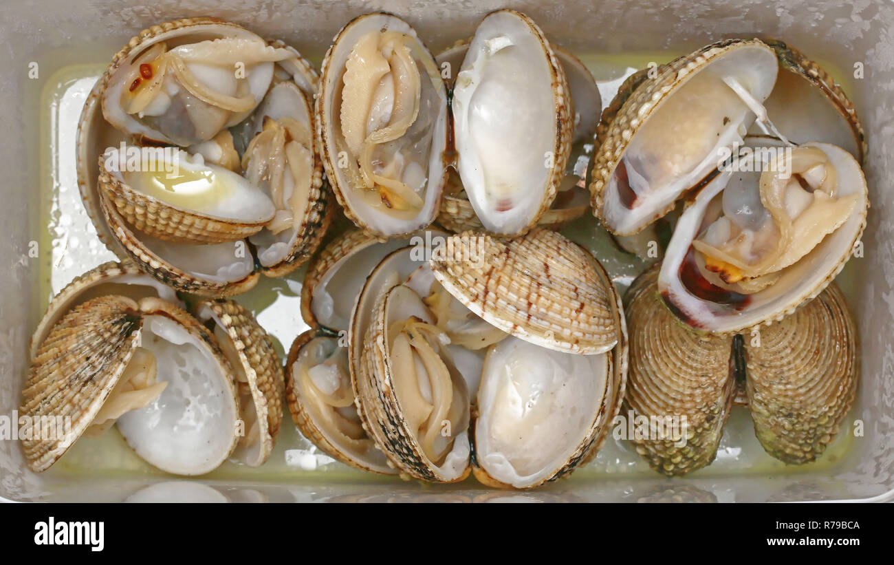 Clam box hi-res stock photography and images - Alamy