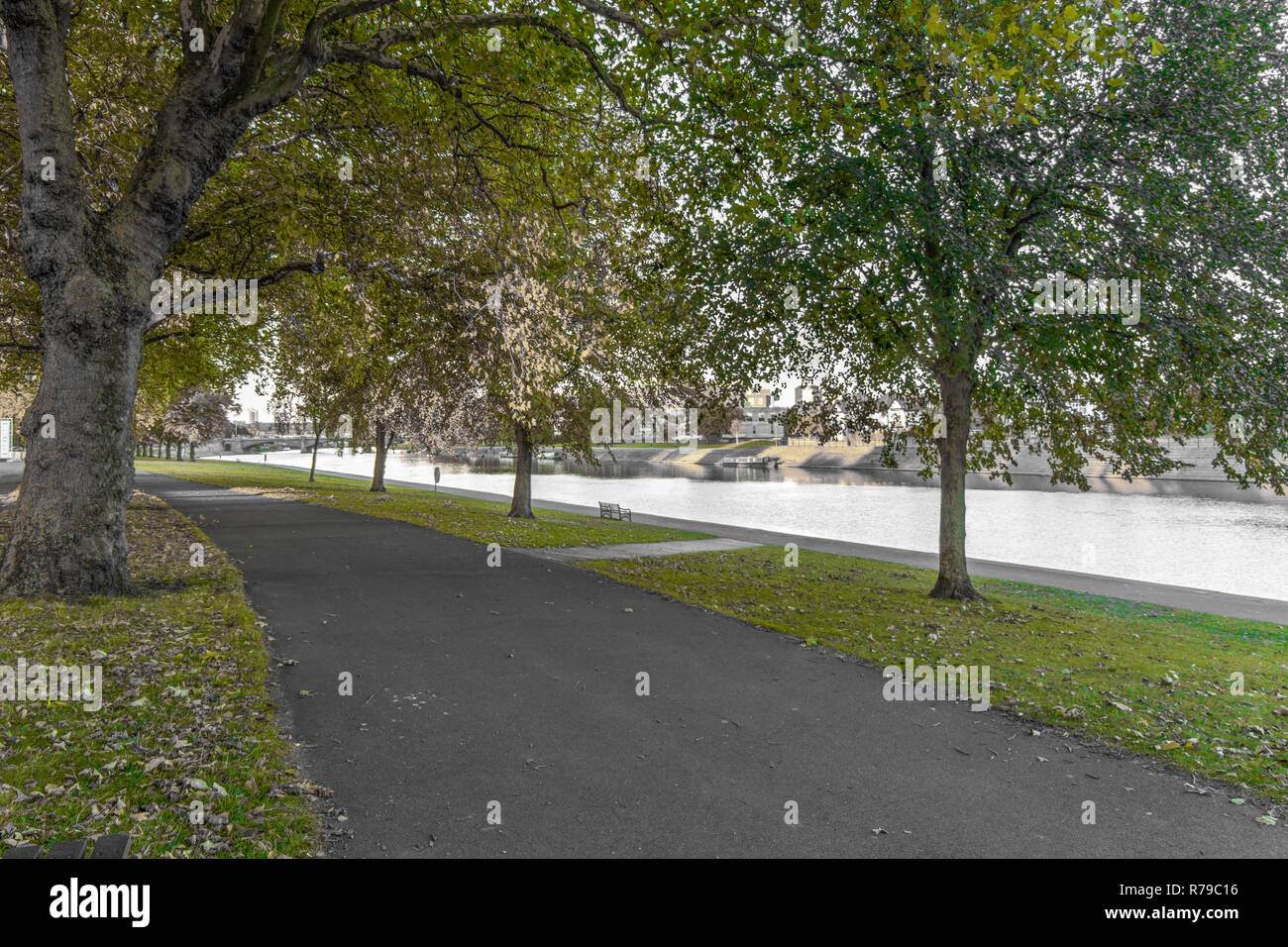 Footpath near large river in UK with trees lined on each side. Victoria ...