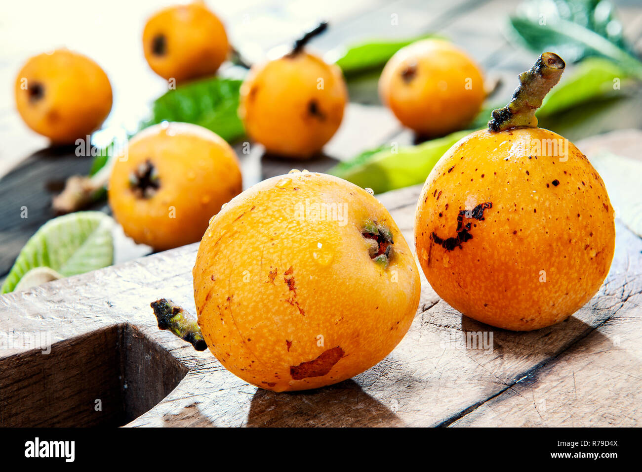 Medlar seeds hi-res stock photography and images - Alamy